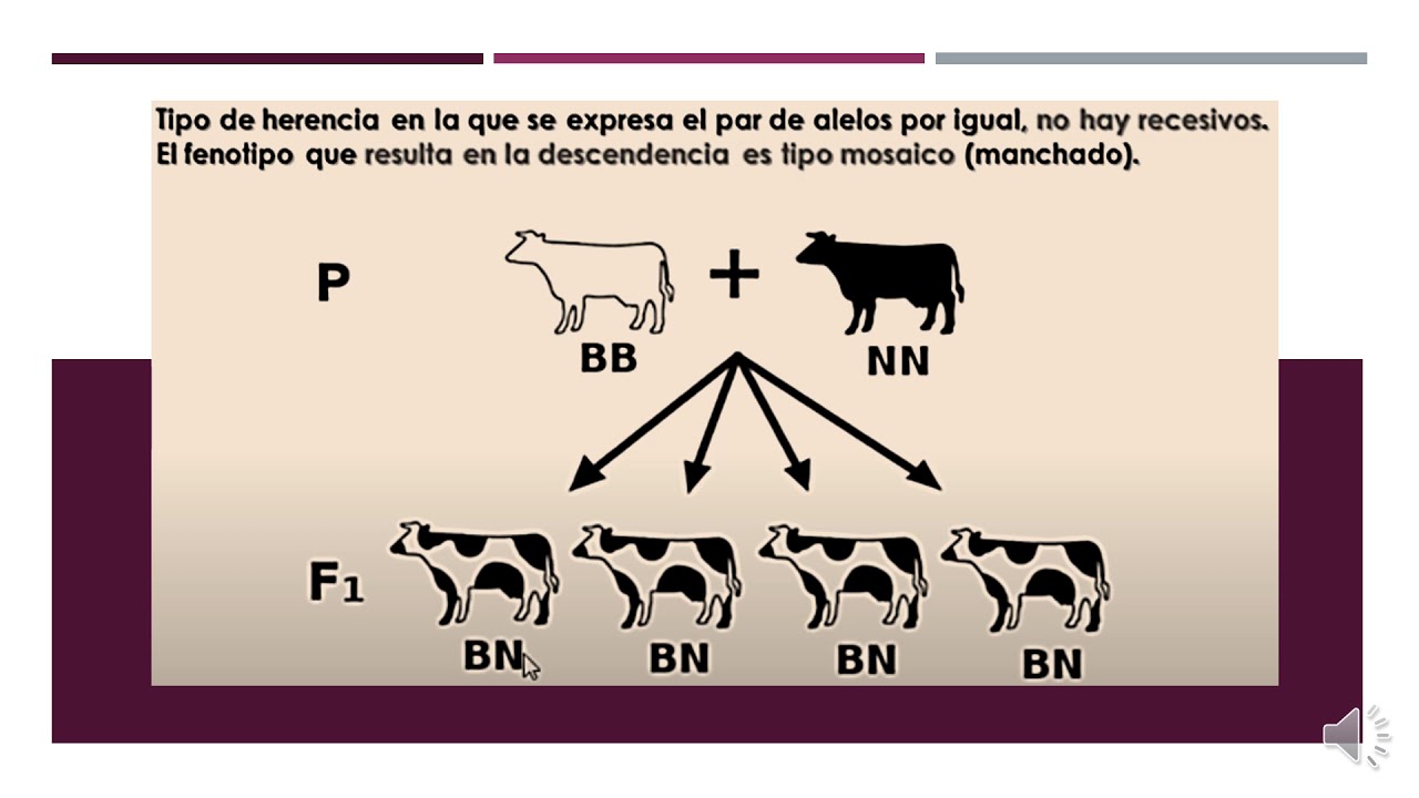 SEMANA 10 NIVEL B - YouTube
