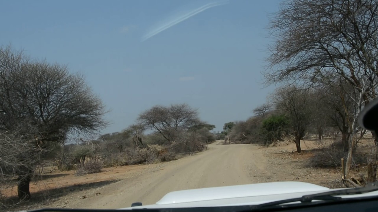 Namibia. Caprivi Strip. NP Bwaвwata. Mahango Core Area. - YouTube