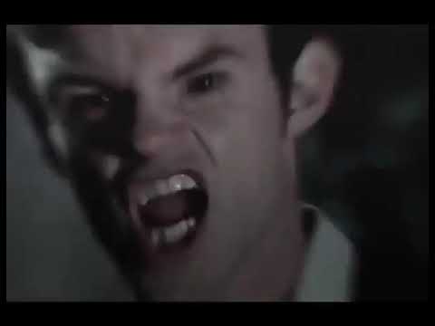 hadi's original for zein - YouTube