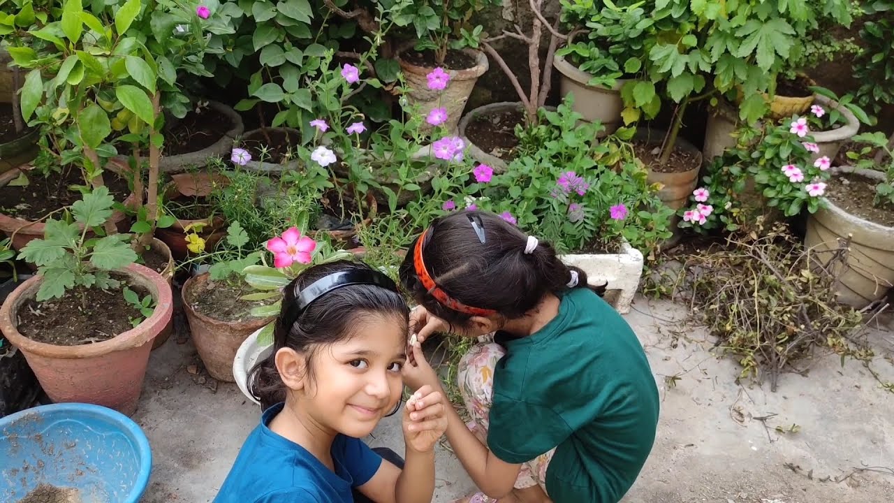 Garden visit funny moments - YouTube