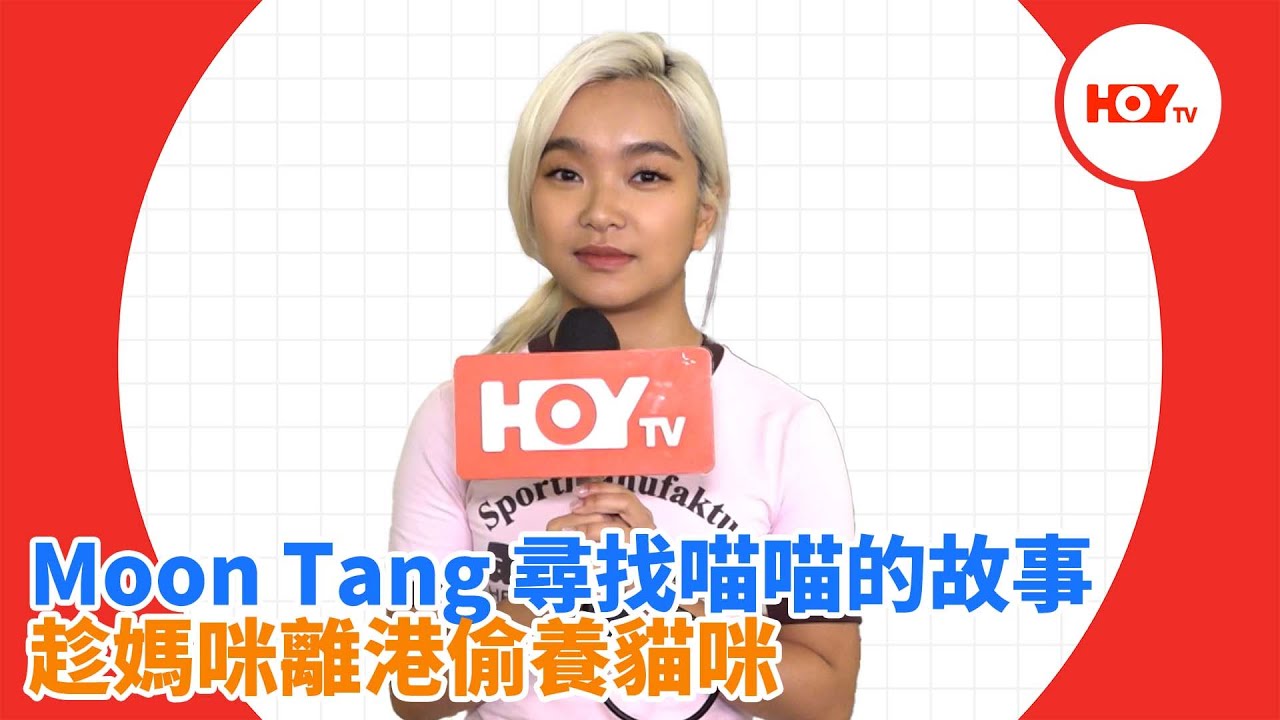 #娛樂新聞 ｜ Moon Tang作客尋找喵喵的故事 趁媽咪離港偷養貓咪 ｜ Moon Tang ｜ 湯令山 ｜ 尋找喵喵的故事 ｜ 貓奴｜ 主子 ｜ 喵喵 ｜ 貓貓｜HOYTV｜HOY 77 ...