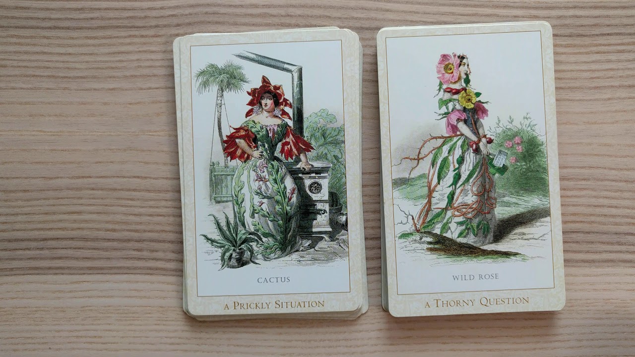 Victorian Flower Oracle (Baba Studio) - 4k Flip Through - YouTube