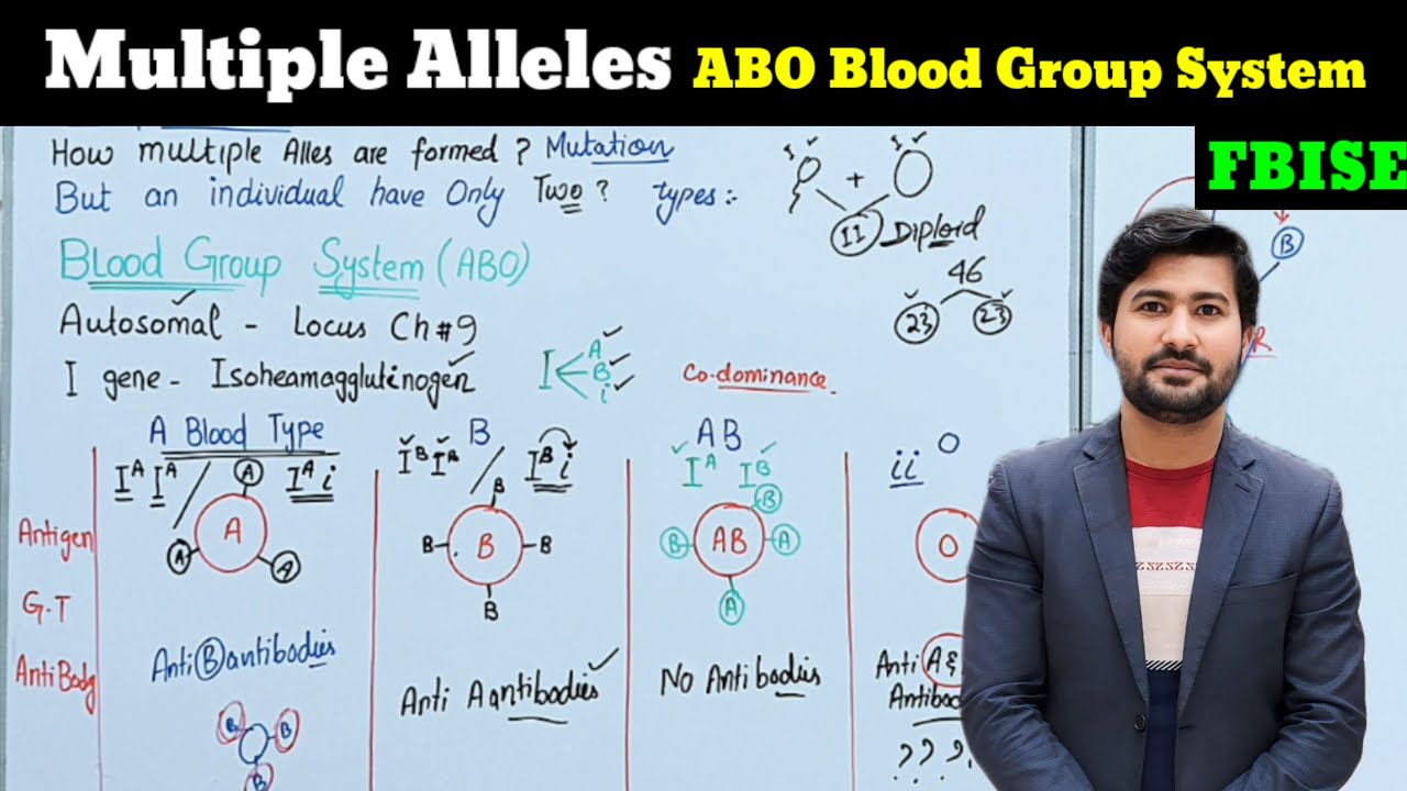 ABO blood group system and Multiple alleles class 12 by irtisam biology ...