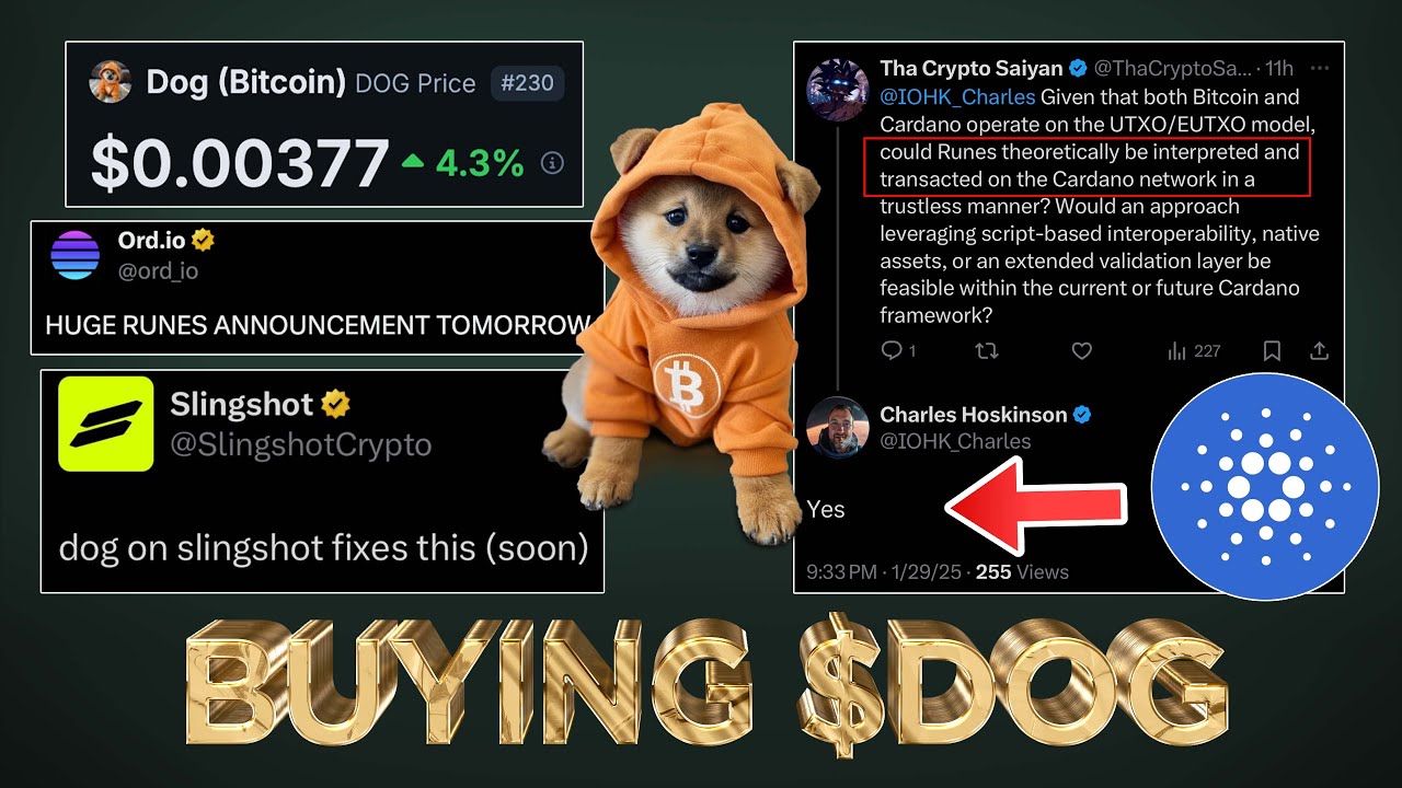 I'm Buying $DOG (Bitcoin) RIGHT NOW 💸 💸 💸 - YouTube