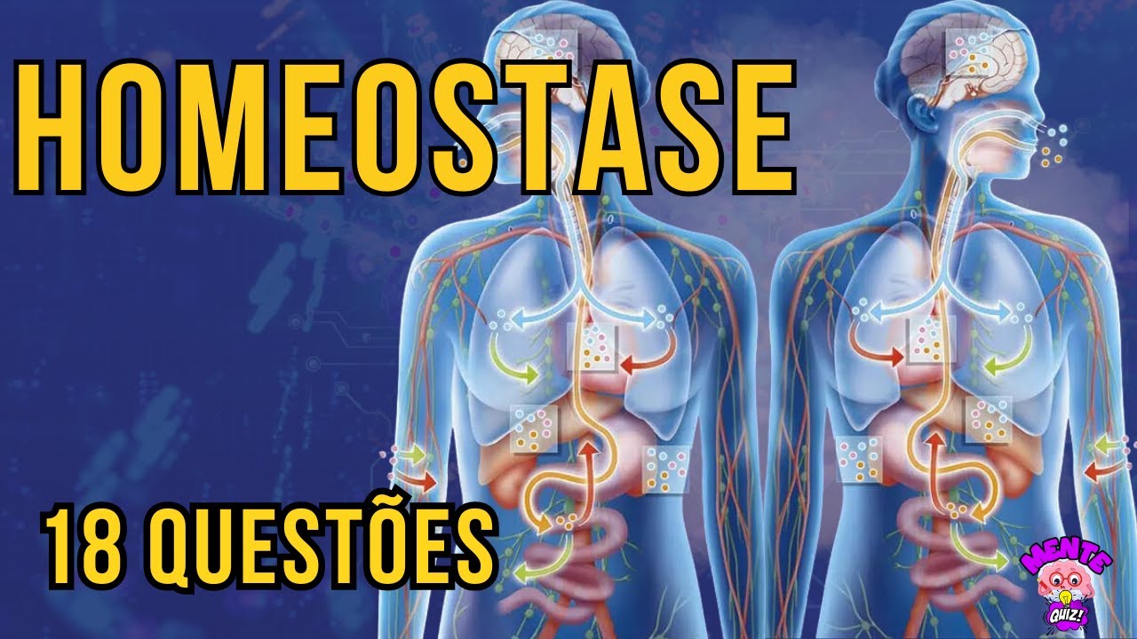 HOMEOSTASE|HOMEOSTASE FISIOLOGIA HUMANA|HOMEOSTASE FISIOLOGIA ...