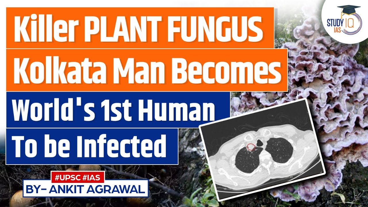 The Shocking Story of a Kolkata Man: World's First Human Infected by ...