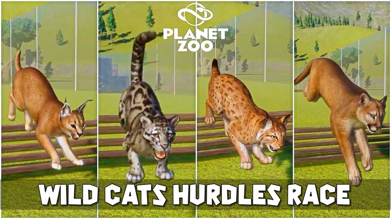Animals Hurdles Race in Planet Zoo, Caracal vs Clouded Leopard vs ...