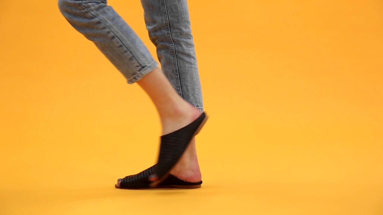 Motelo | Amazonia Collection - YouTube