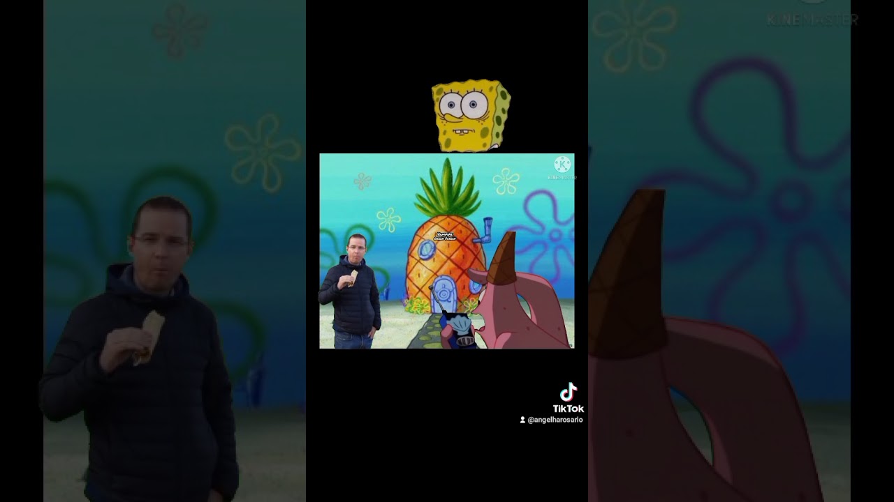 sal de ahí bob esponja tik tok - YouTube