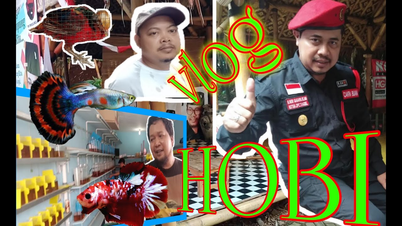 vlog_hobi - YouTube