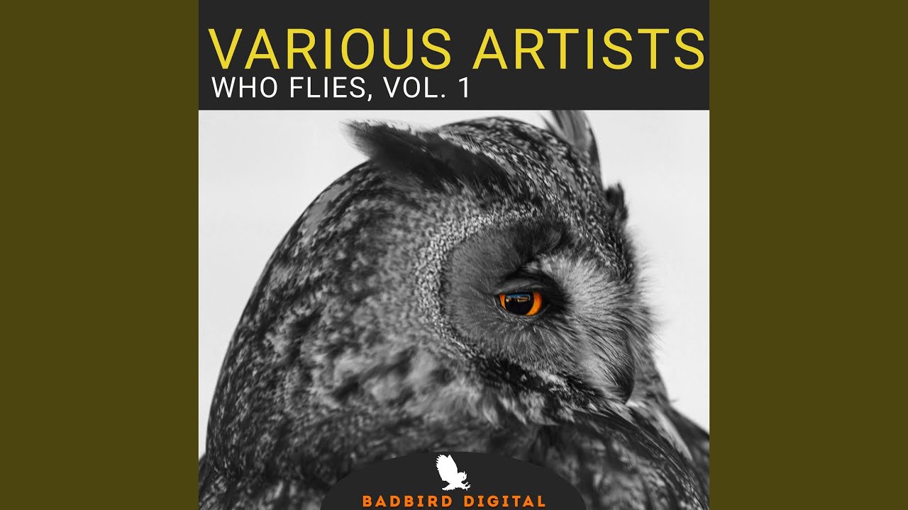 Chain Of Balance - YouTube