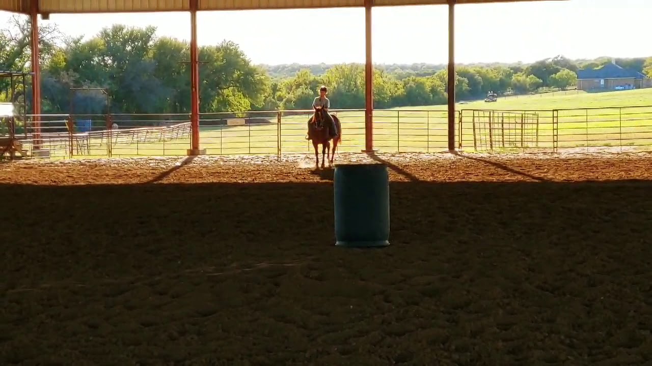 Youth beginner Barrel racing lesson - trotting exercises using the ...