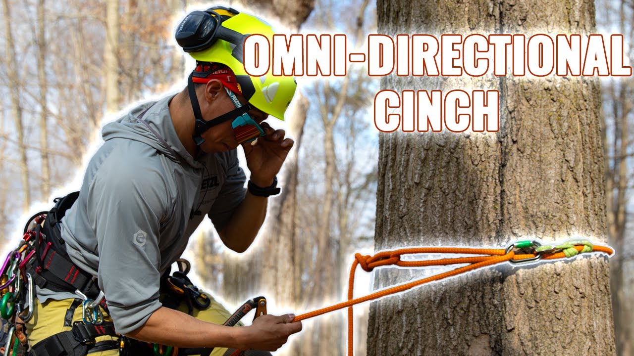 Tree Work Essentials: Spar Technique - YouTube