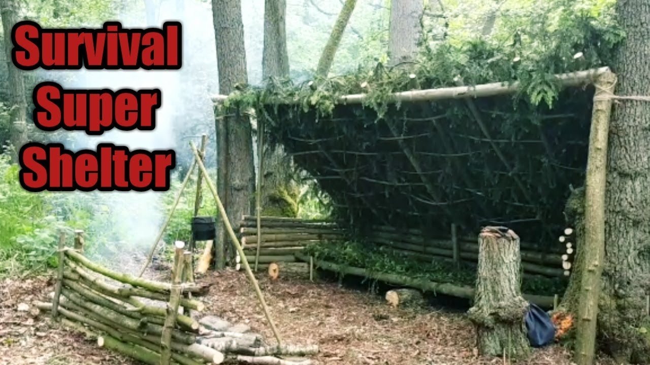 Survival Super Shelter ~ New Camp & Hunting Forest - YouTube