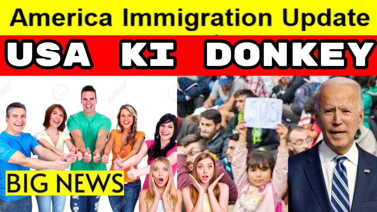 America Donkey flight | NEW VIDEO | Mexico border Donkey | US ...