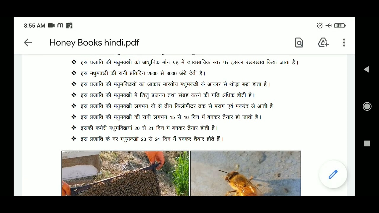 Life cycle of Apis mellifera honey bee 🐝🍯 - YouTube