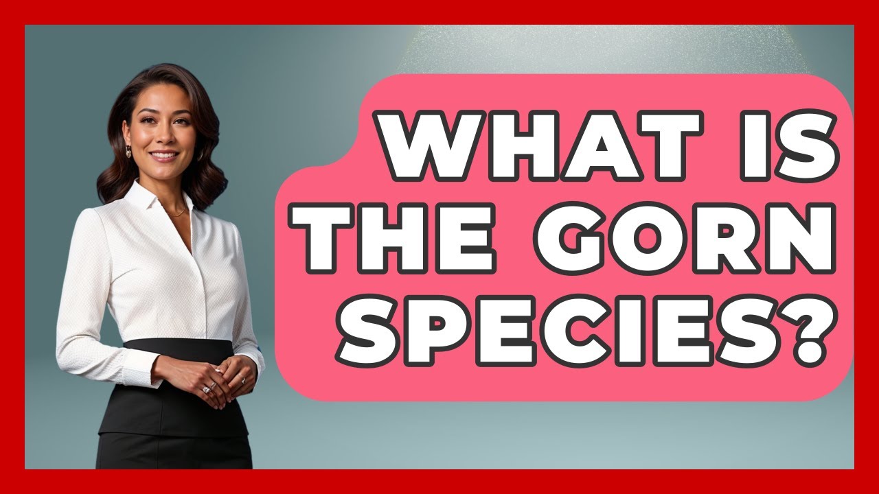 What Is The Gorn Species? - I'm a 60s Baby - YouTube