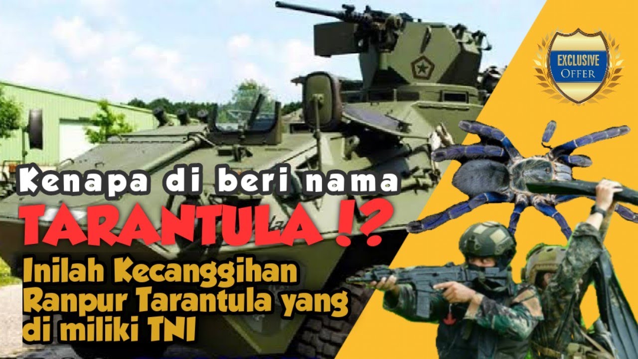 Indonesia again buys Ranpur Tarantula from South Korea - Sophisticated ...