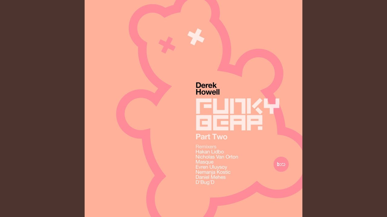 Funky Bear (Evren Ulusoy's Funky Dear Remix) - YouTube