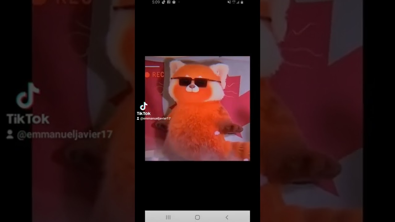 Turning Red + MLP EG Sounds Good 👍🏻 - YouTube