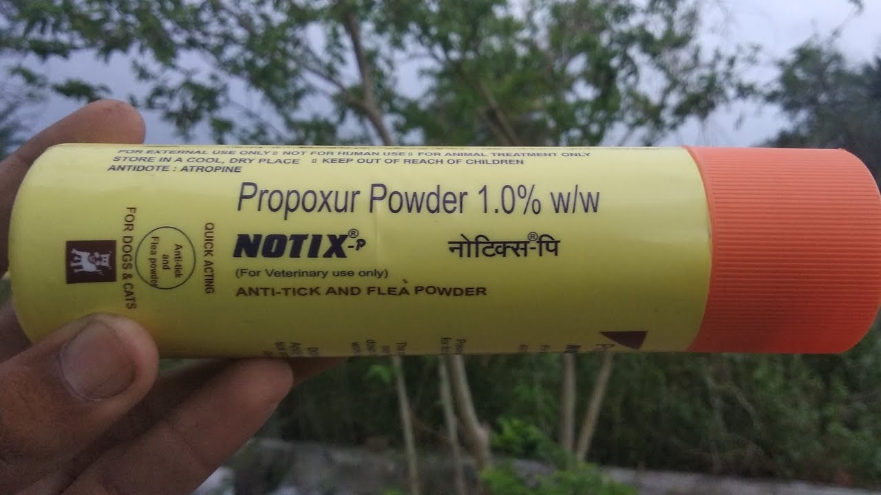 #notix #dogtixremove #dog how to remove dog tix notix powder - YouTube