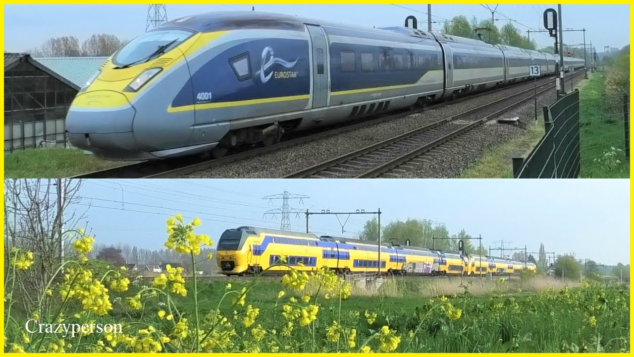 Diverse Treinen in Het Weiland Schiedam Kethel - 22 April 2023 | NS ...