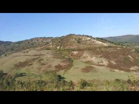 Patpat Safari Macerası -  22.09.2018