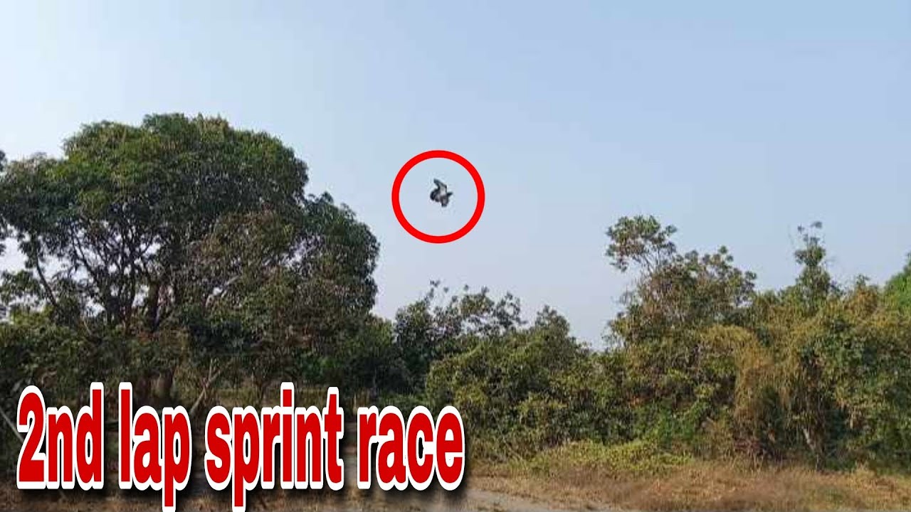 2ND LAP SPRINT RACE KABIBILIS NG IBON..EMC LOFT TV - YouTube