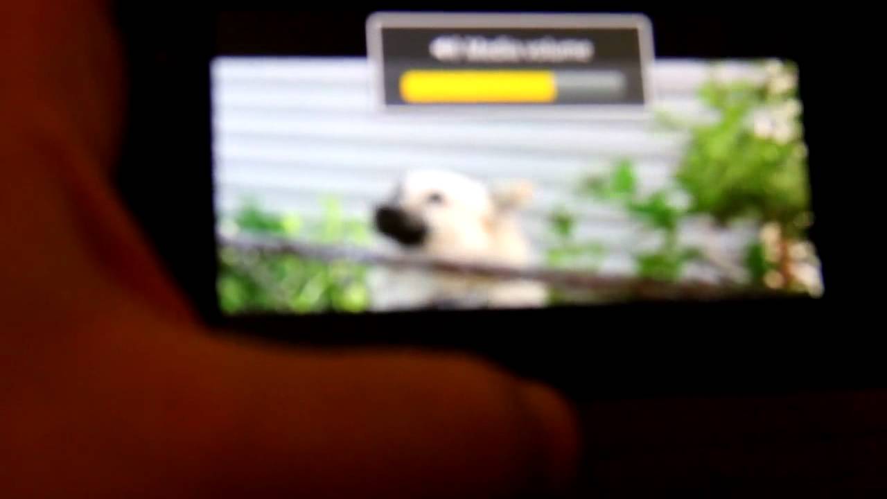 Guard Dog Android App - Droid Alarm, Movement Sensor - YouTube