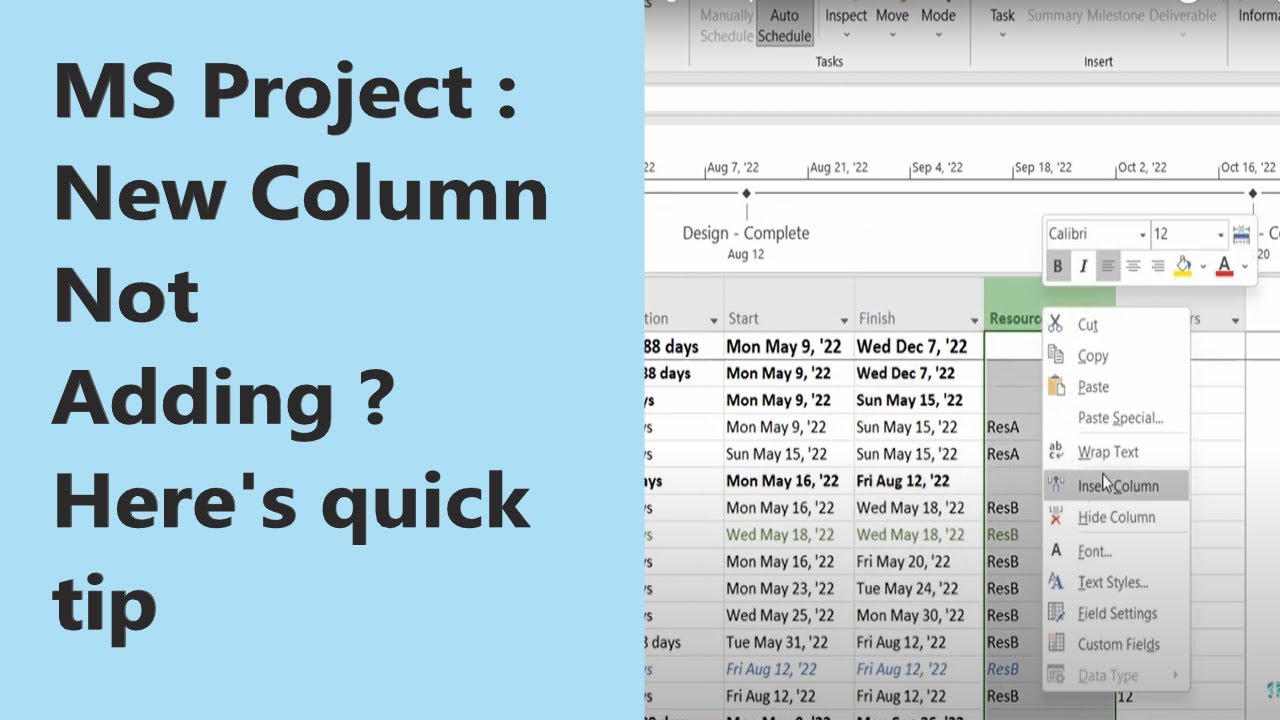 MS Project How To Add New Column In A Project Plan Percentage MS Project How To Add New Column In A Project Plan Percentage
