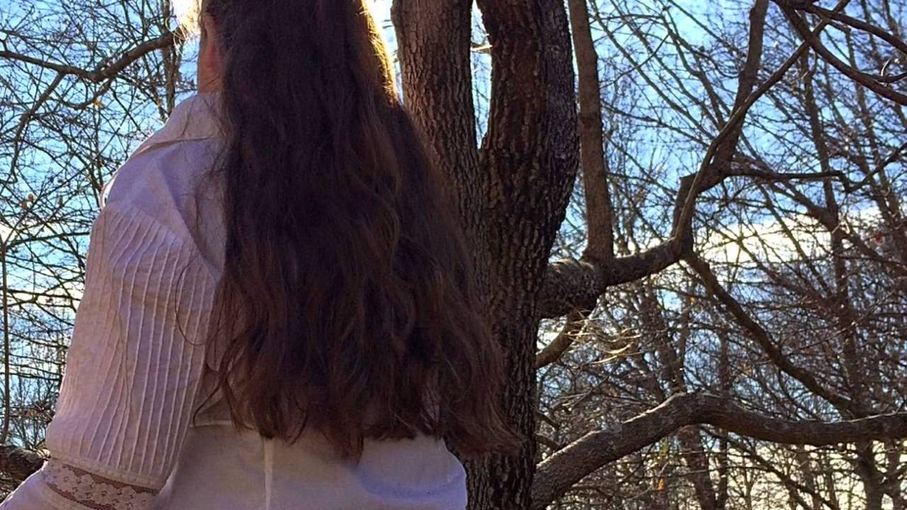 "Forest Born" Book Trailer - YouTube