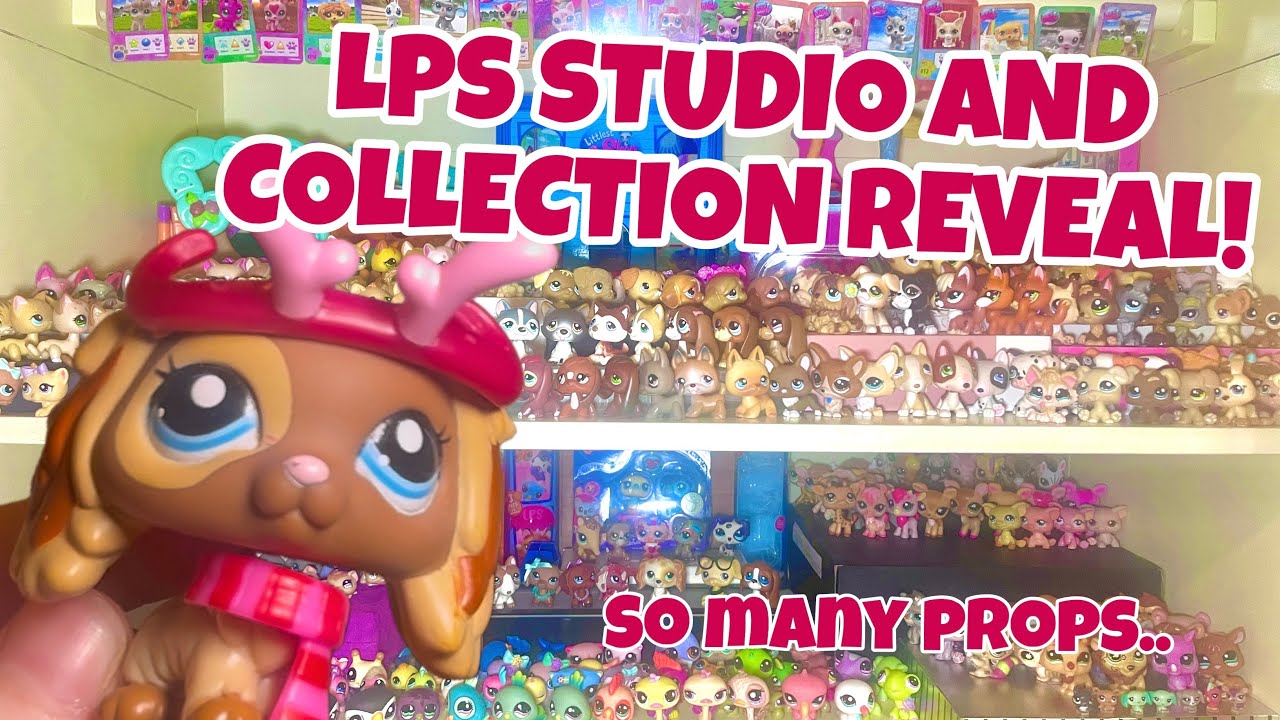 My Film and Collection Setup (Studio and Collection Tour!) - YouTube