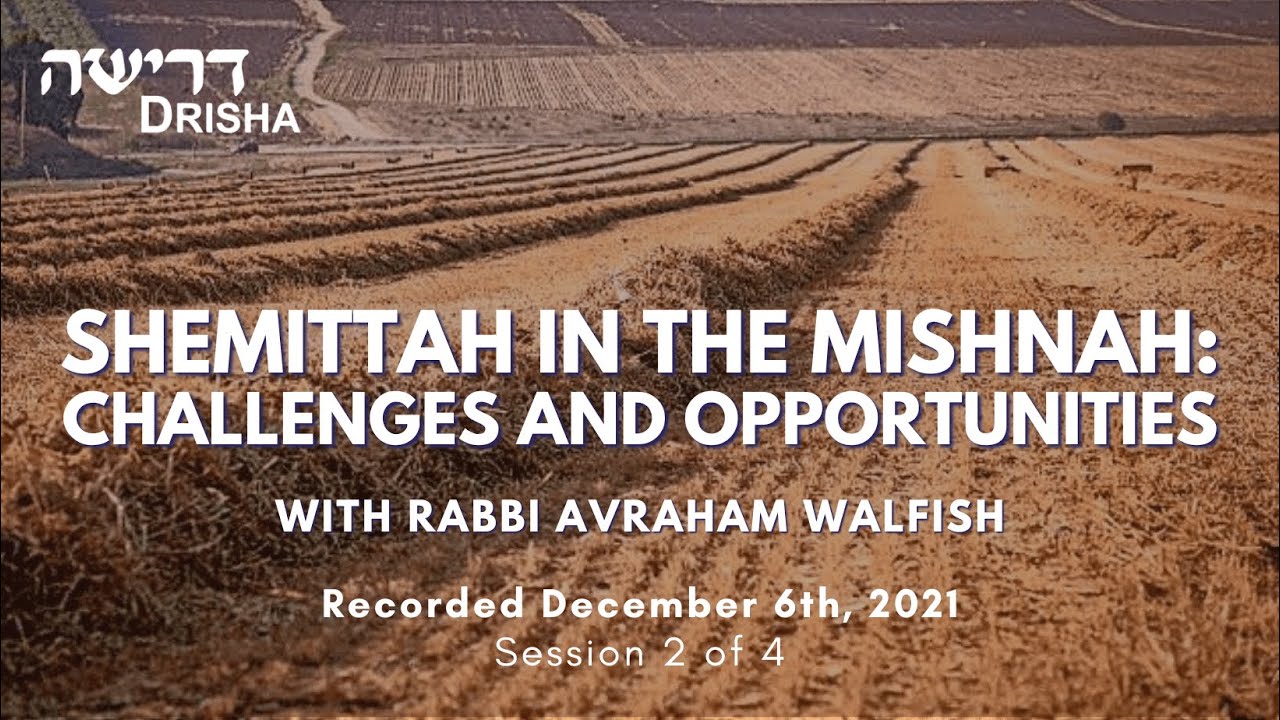 Shemittah in the Mishnah: Challenges and Opportunities, Part 2 of 4 ...