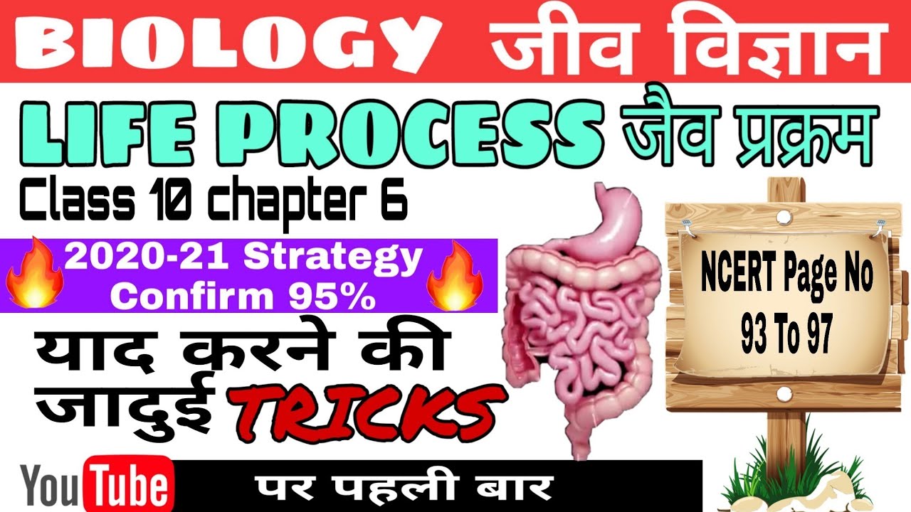 Life Process Class 10 Science Biology | Class 10 Science Chapter 6 ...