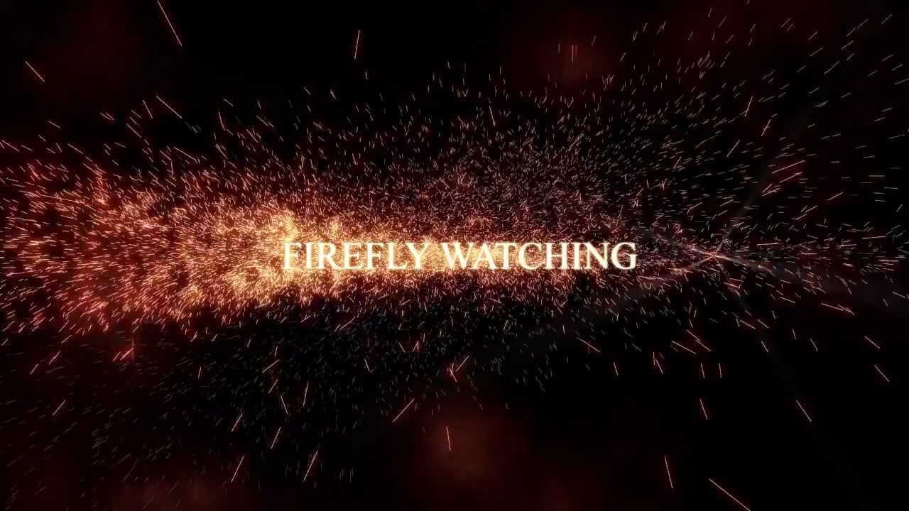 Firefly Watching Tour Palawan Philippines - YouTube