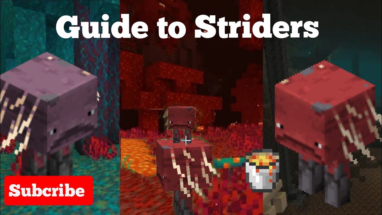 New Minecraft Strider Mob - duckcrafted - YouTube