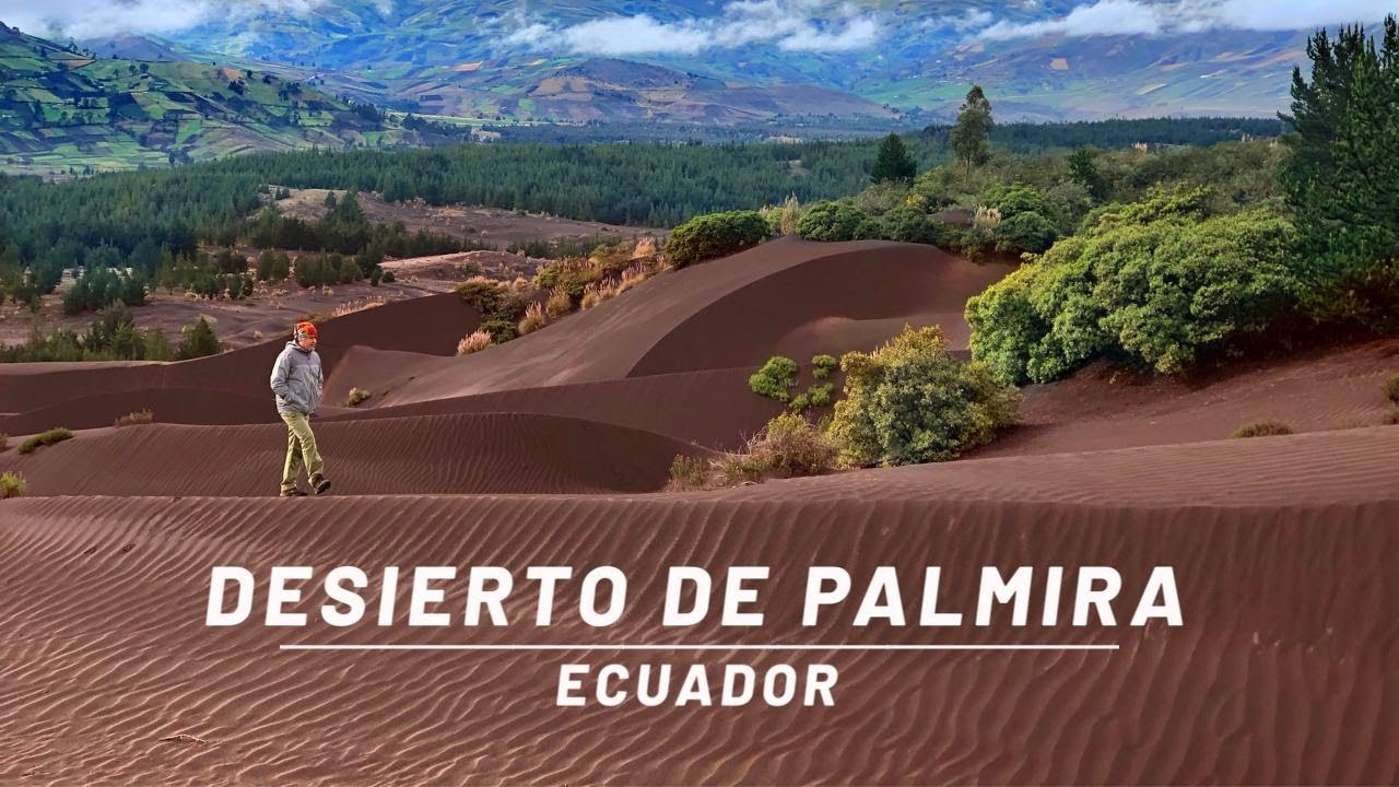 DESIERTO DE PALMIRA - ECUADOR 🇪🇨 - YouTube
