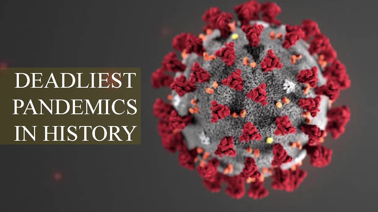 Deadliest Pandemics in History | Pandemic Comparison by Number of ...