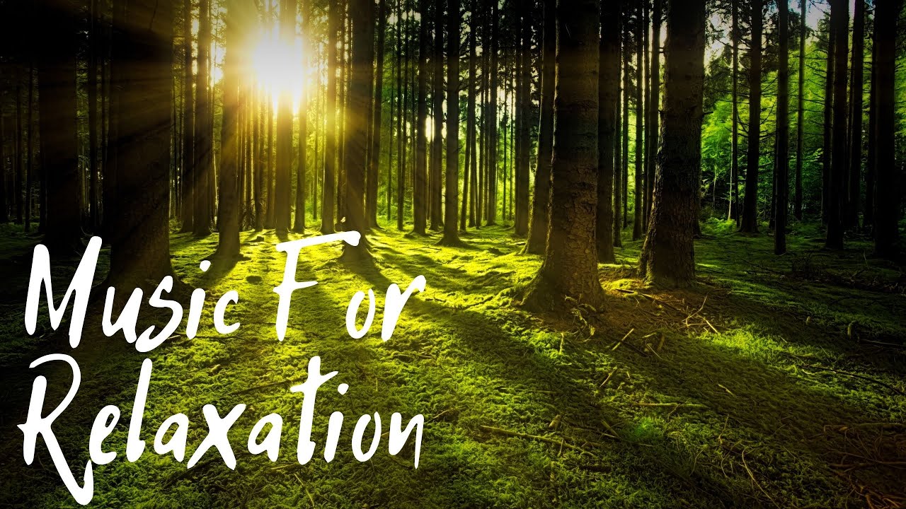 Soothing music | Background music - YouTube