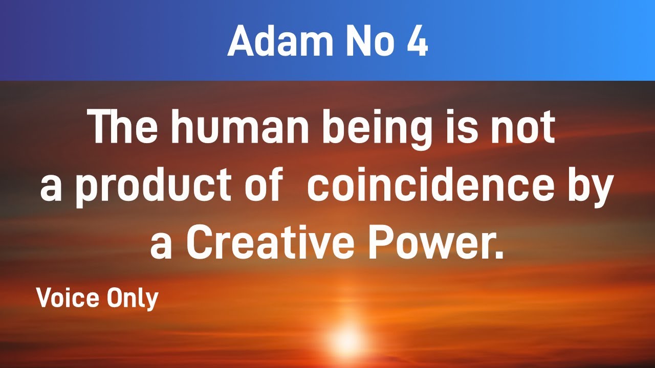 Adam No 4. The human being is not a product of coincidence by a ...