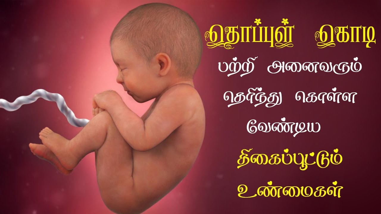 தொப்புள் கொடி பற்றிய திகைப்பூட்டும் உண்மைகள் - YouTube