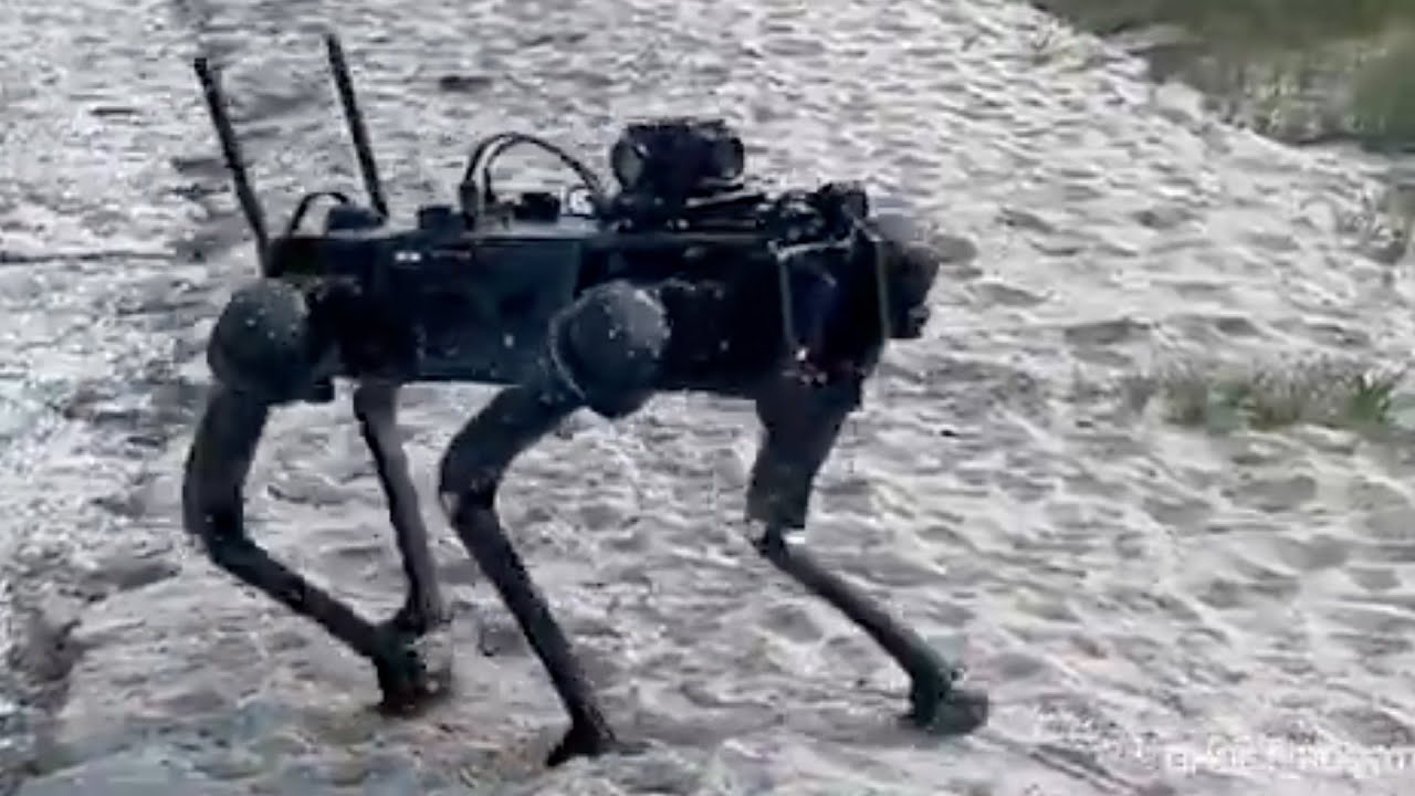 'Black Mirror' Robot Dogs To Patrol U.S. Border - YouTube