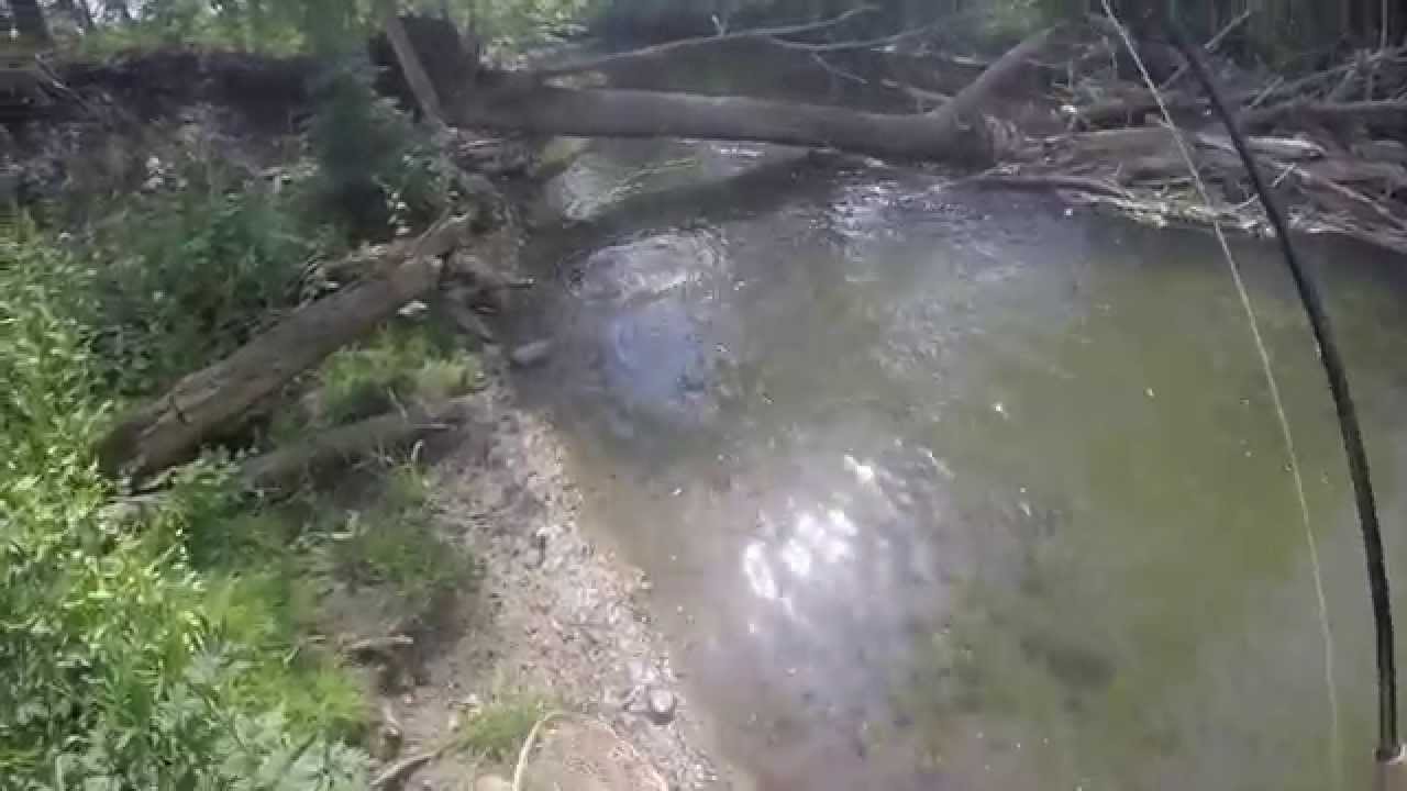 Fishing the Mad Episode 1 - YouTube