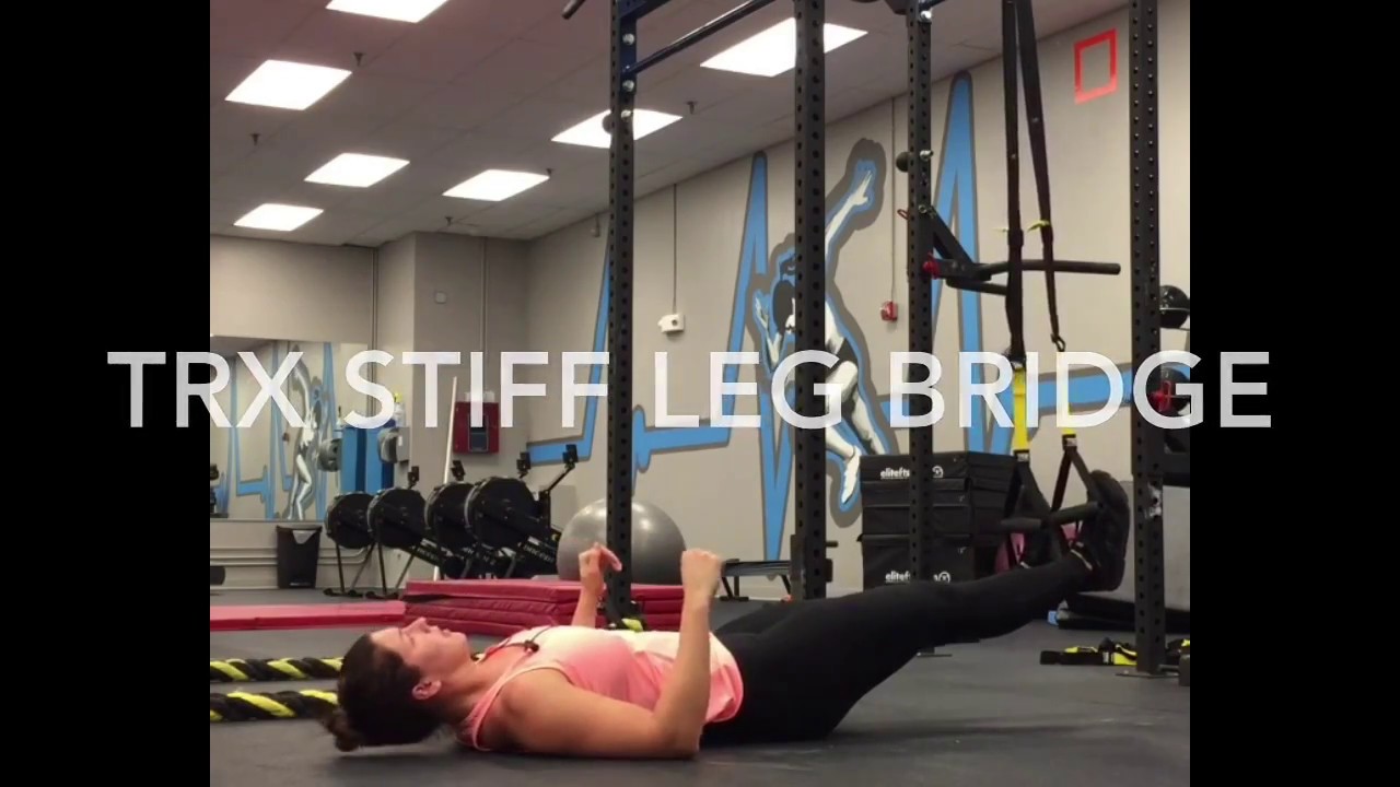 Training: TRX Stiff Leg Bridge - YouTube
