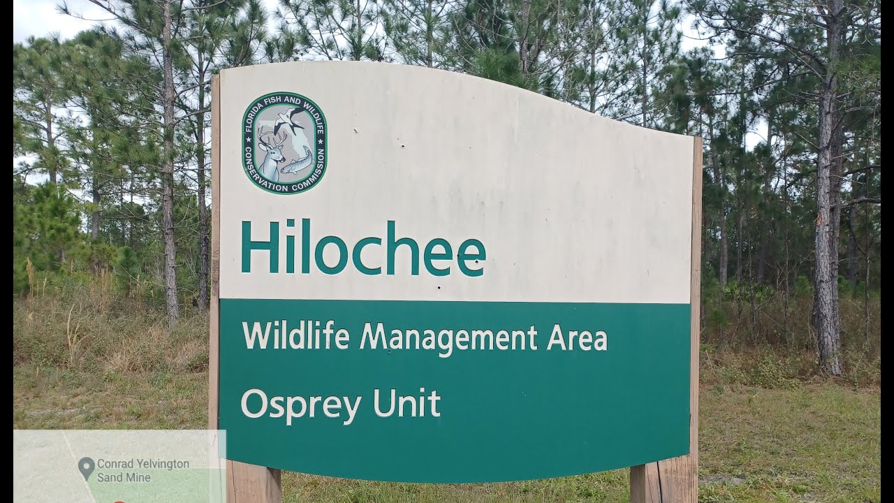 POTA K-6309 US-6309 Hilochee Wildlife Management Area - YouTube