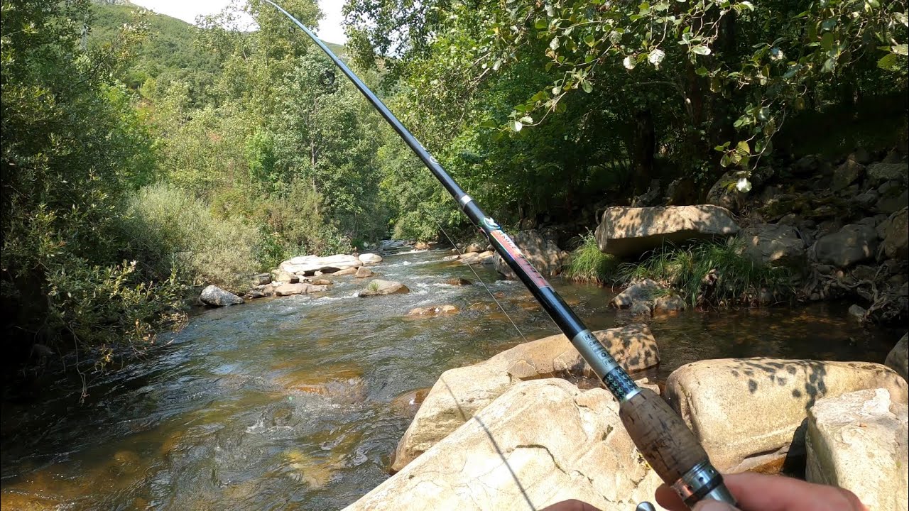Pescando truchas en un precioso río de alta montaña | Tª Pesca 2020 ...