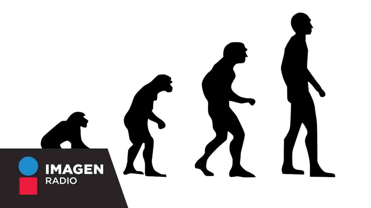 Evolución: ¿Los humanos venimos del mono? - YouTube