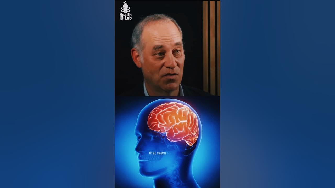 Working Memory vs. Long-Term Memory | Explained on Andrew Huberman’s Podcast - YouTube