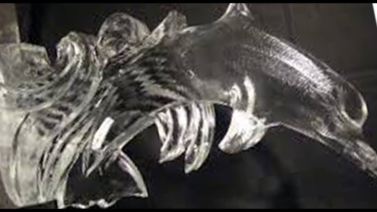 Art an Ice Carving,Dolphin,Fish Ice Carving,Fish Ice Block, How to make ...