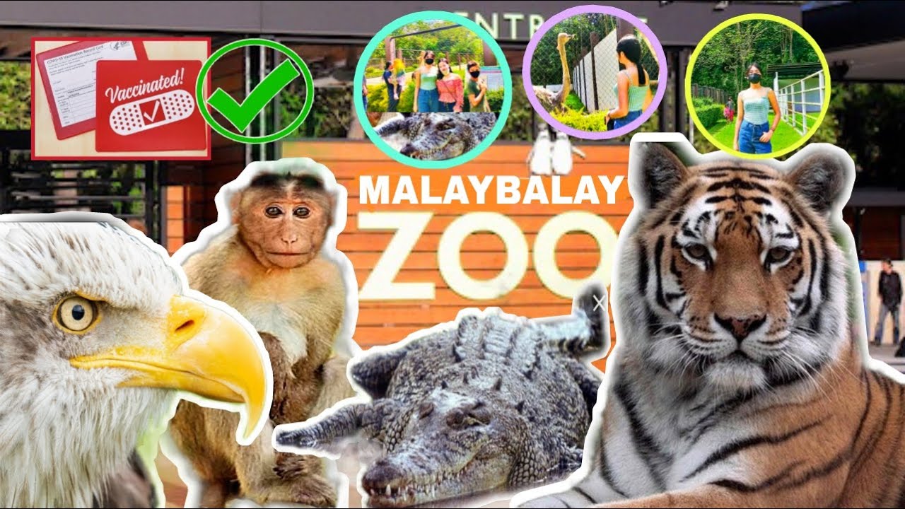 My first time at the zoo - YouTube